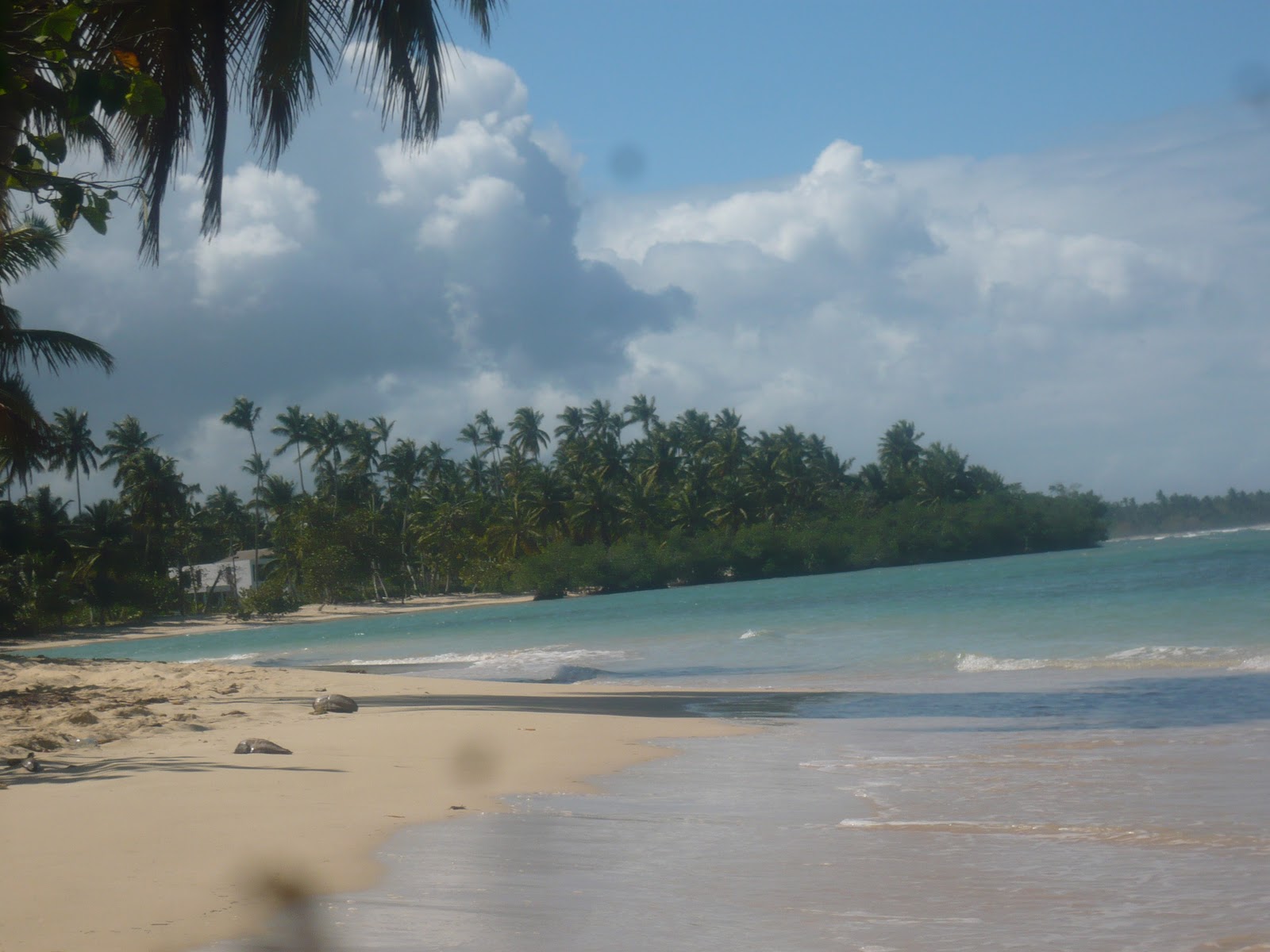 VISITAR, CONOCER Y VIVIR EN REPUBLICA DOMINICANA: PLAYA DE LAS TERRENAS ...