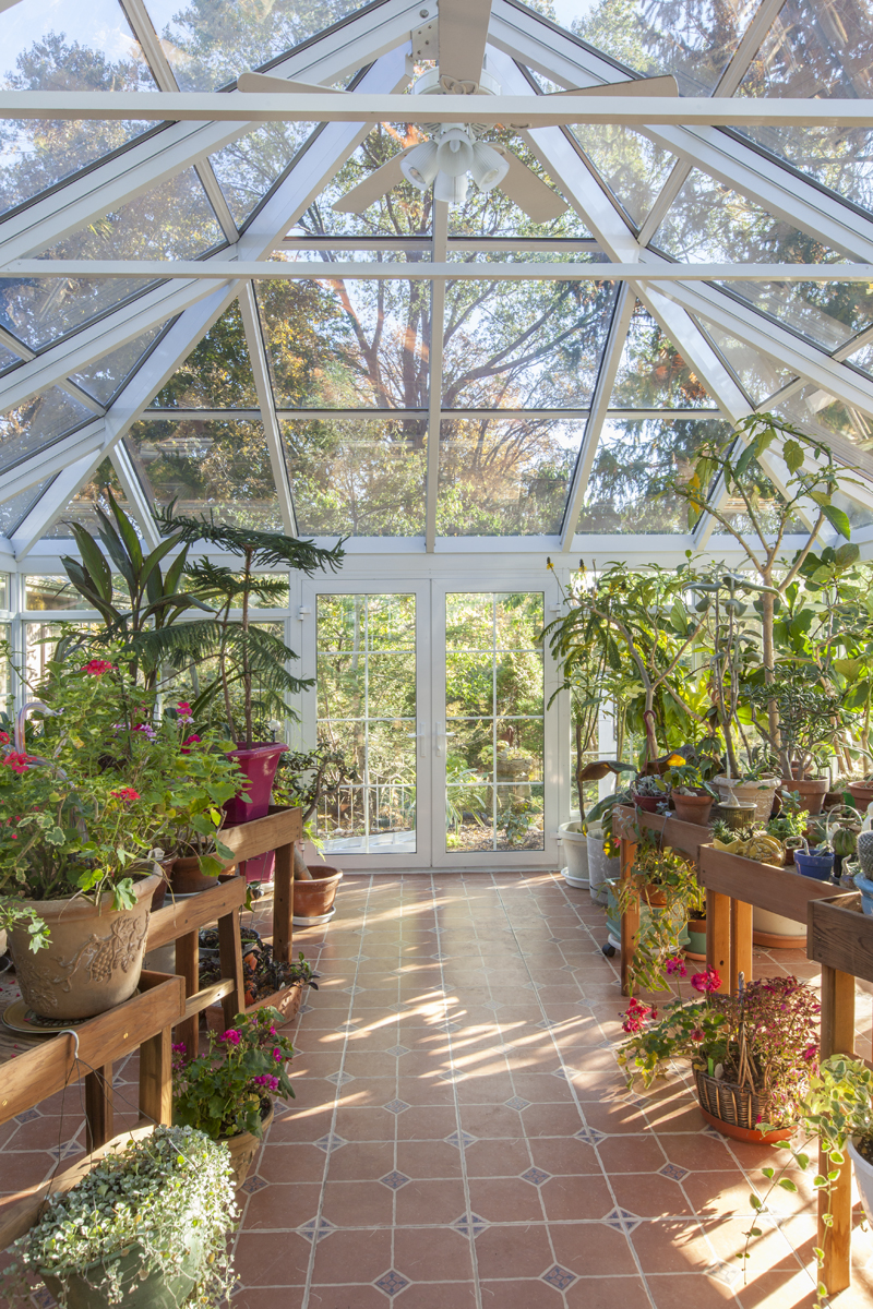 Love Plants? A Sunroom Would Be Ideal!