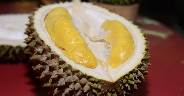 Isaactan.net: A Durian Feast of Musang King and Black Thorn Durians ...