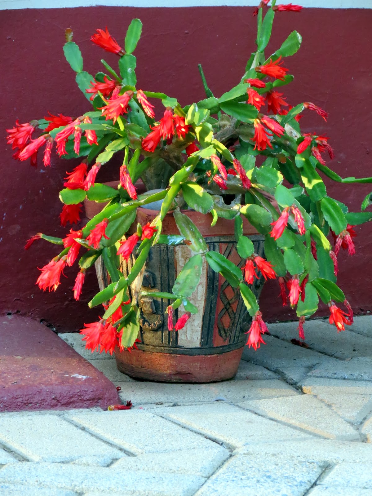 Kreatiewe Joernaal: litroos