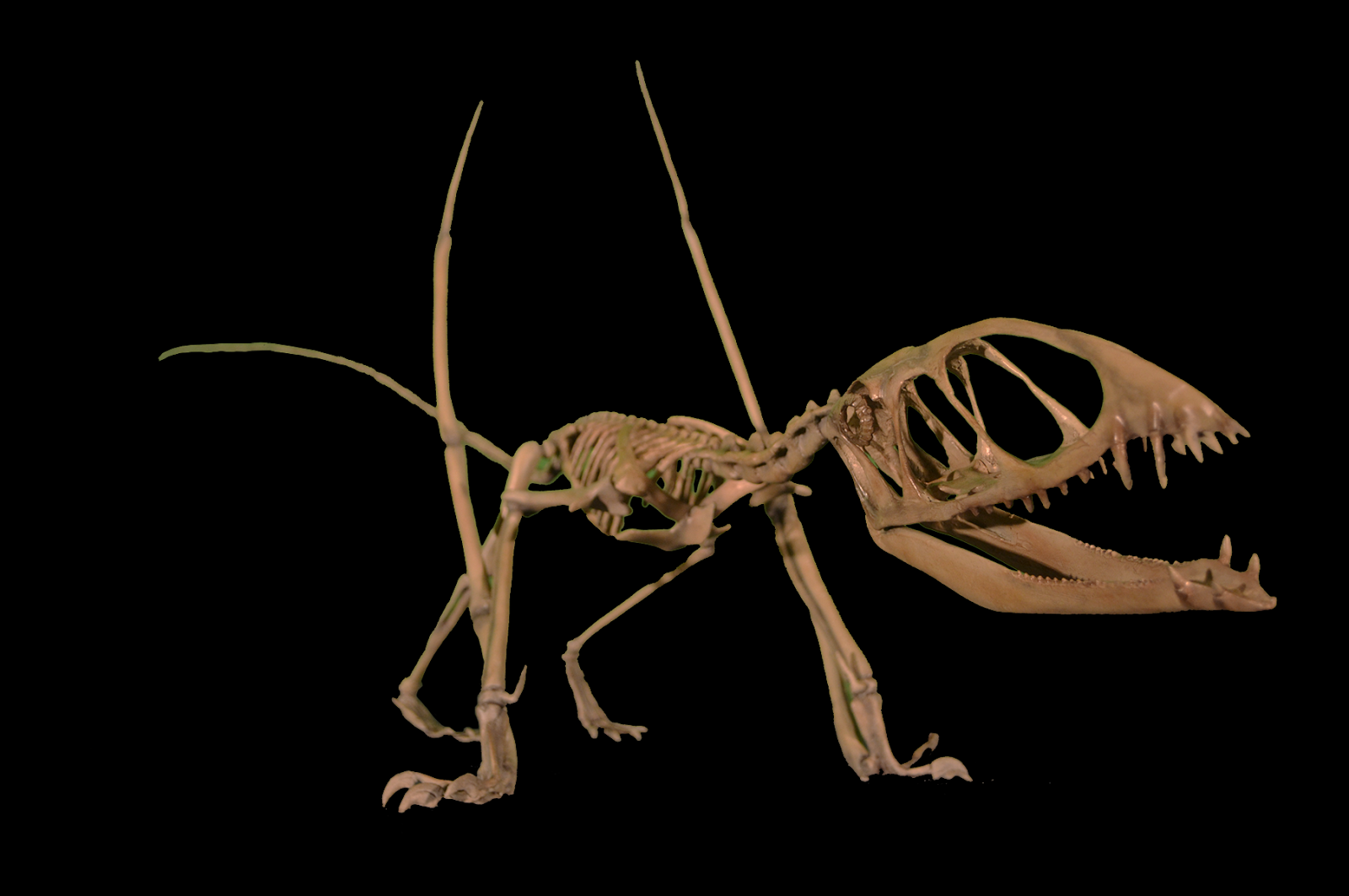 The Expeditioner's Discovery Guild: A little bit of Everything: Museums ...