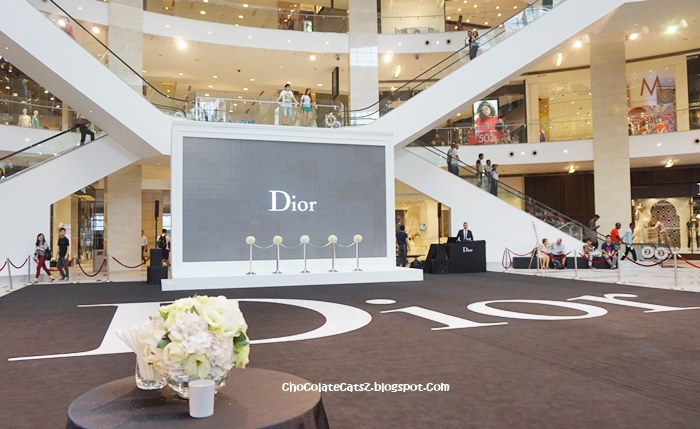 Chocolate Cats: Launch of La Collection Privée Christian Dior & Dior ...
