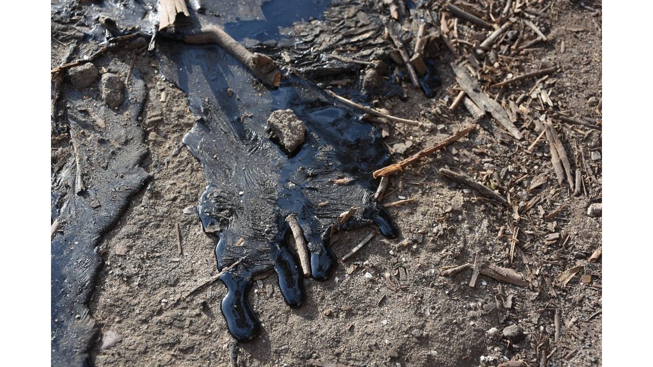 Wandering Environmentalist: Tar "Pits"