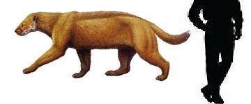 El rinconcito del pequeño naturalista: El rincón de los documentales