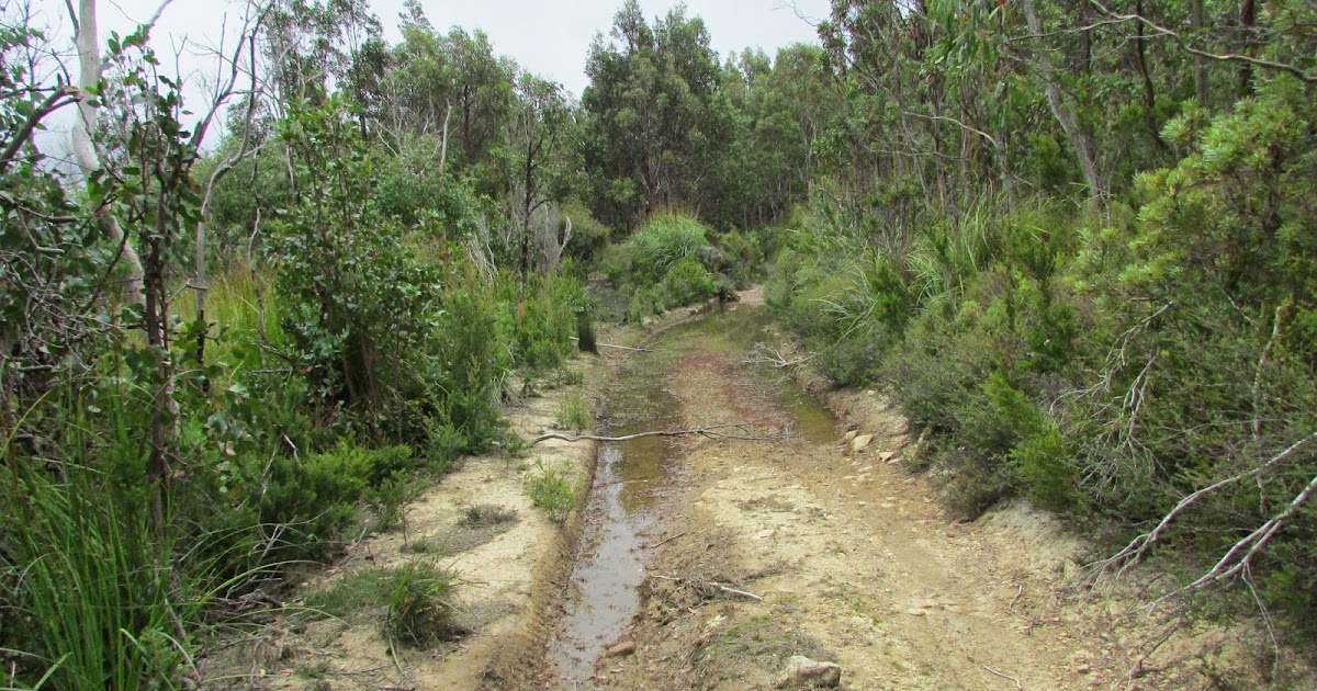 Snug Tiers | Hiking South East Tasmania