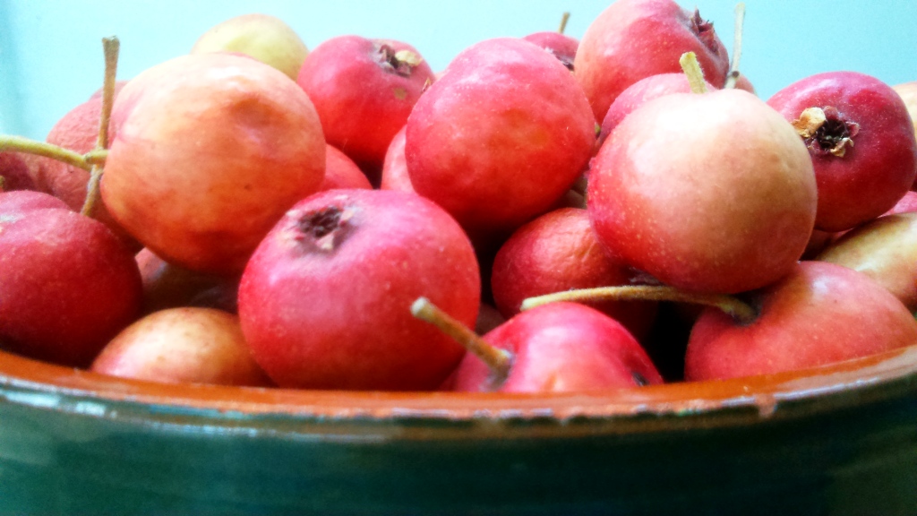 La acequia: Acerolas