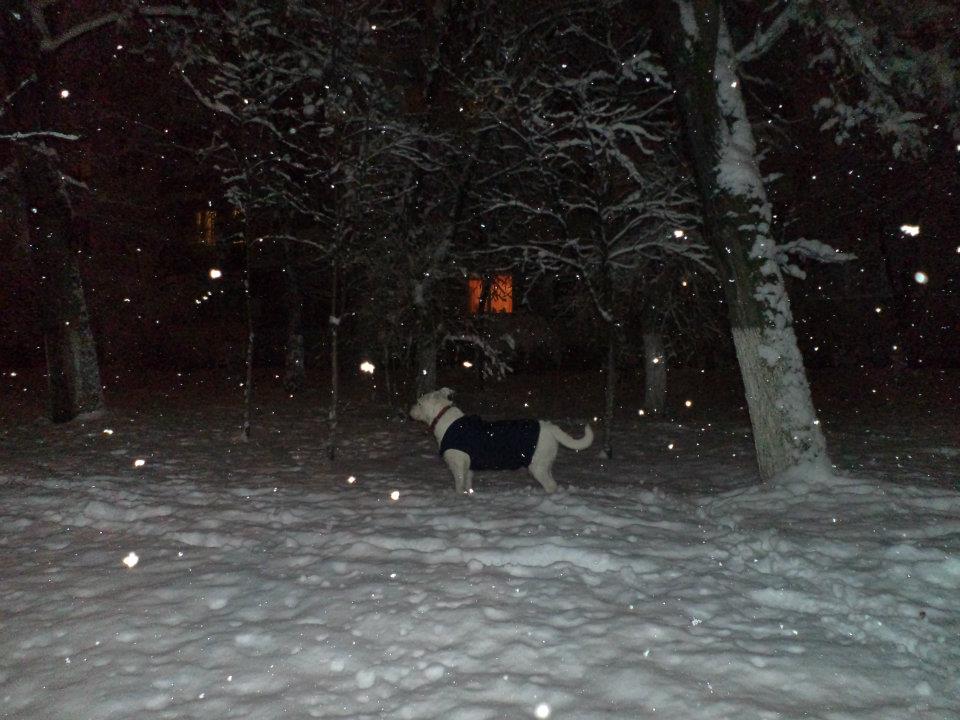 Traveller's guide to Cluj: Winter has finally arrived in Cluj-Napoca