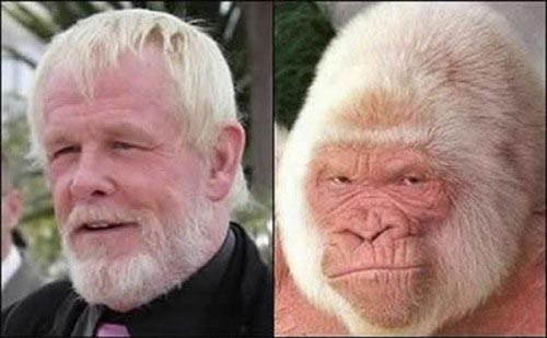 Funny Funny Pictures: Funny Photo Morphing