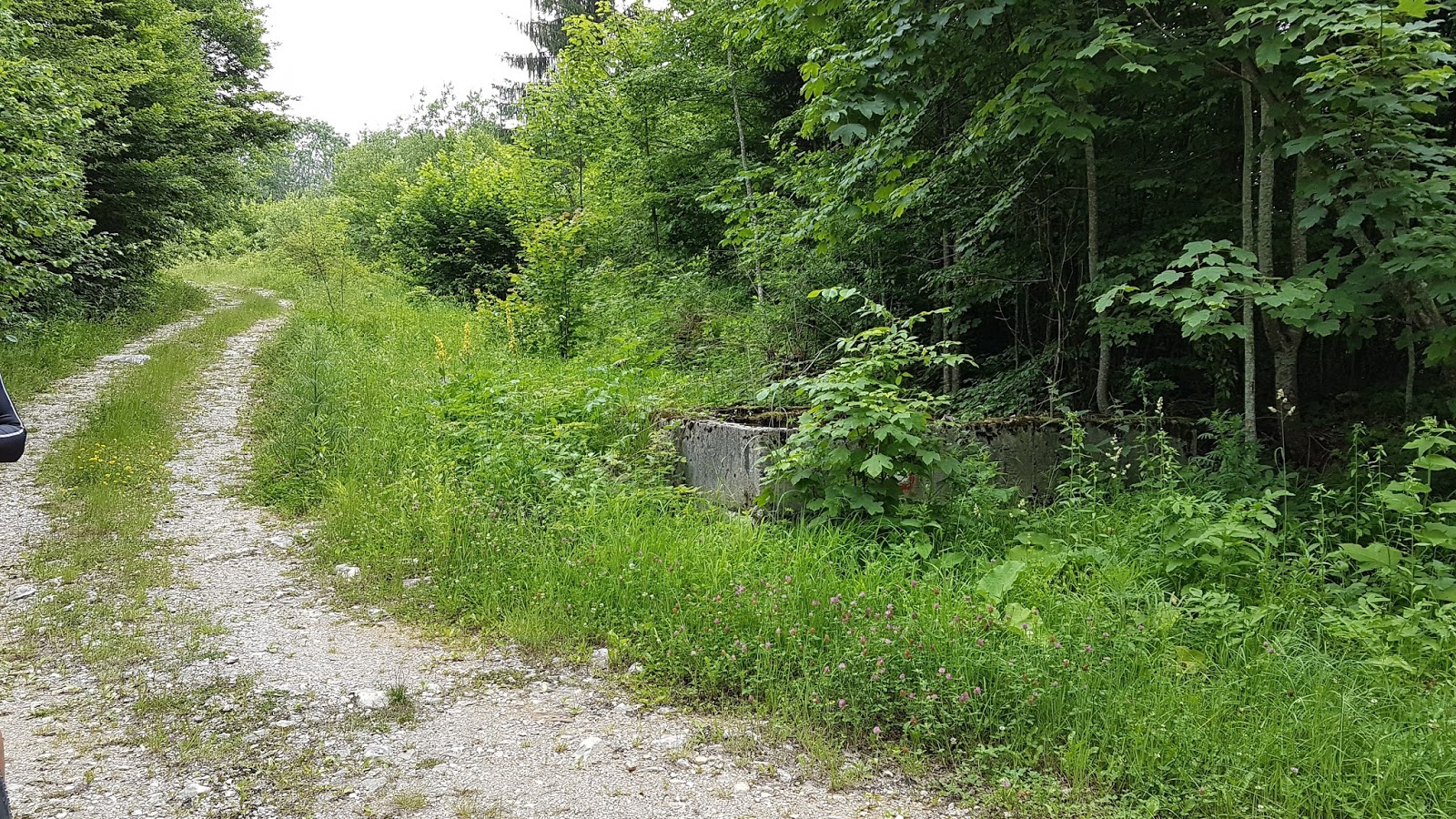 Prin Cheile Minisului - De la Anina la Bozovici