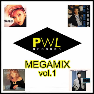 MIXES Y MEGAMIXES: PWL MEGAMIX VOL.1