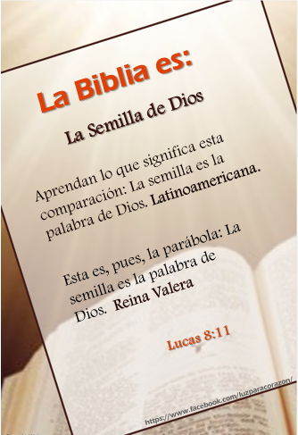Luz para tu vida: La biblia es