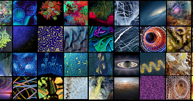 Beautiful science # 3 : 50 images scientifiques extraordinaires ~ Sweet ...