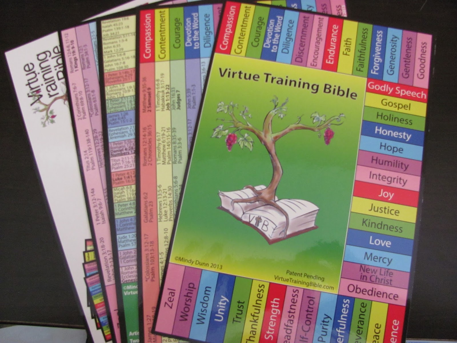 Virtue Training Bible giveaway