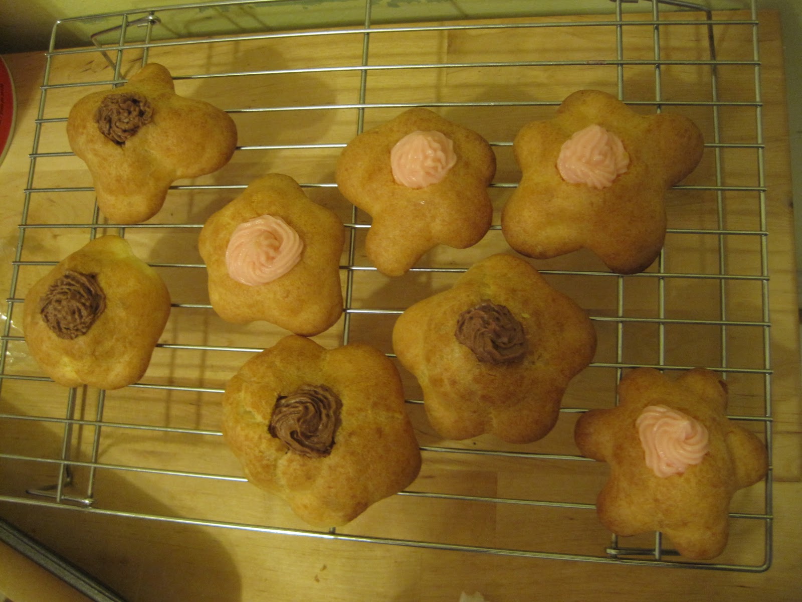 sweets and sweaters: Excursions in Cream Puffs