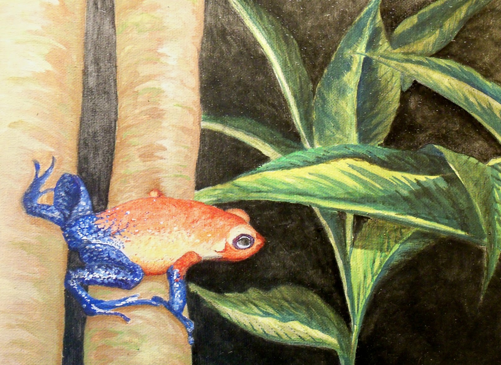 Jungle and Rainforest Art of Costa Rica: Frogs of Costa Rica