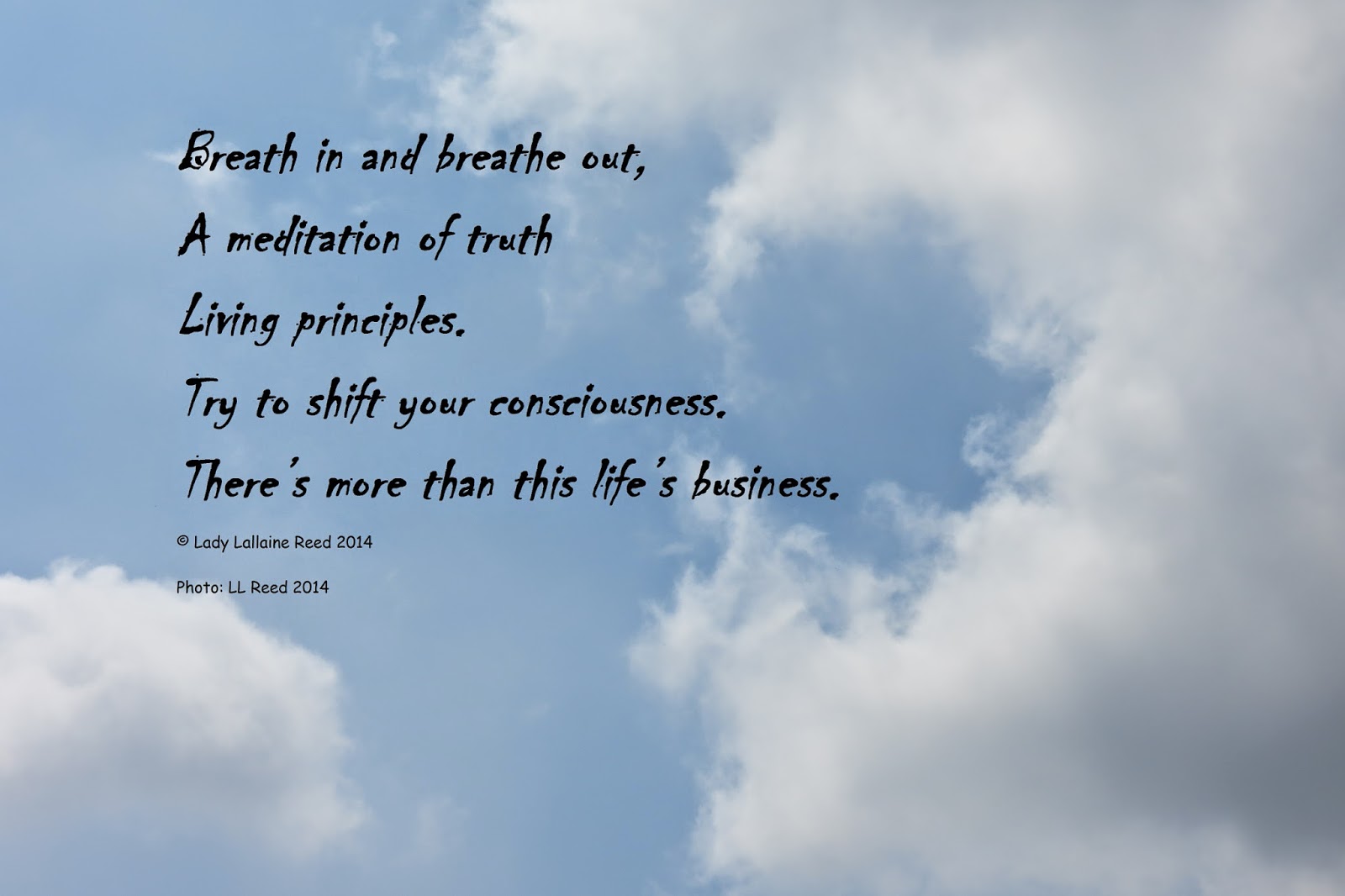 Lady Lallaine Reed's Positive