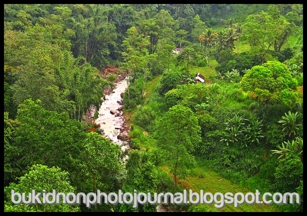 Bukidnon Photo Journal: Running Across Atugan Bridge