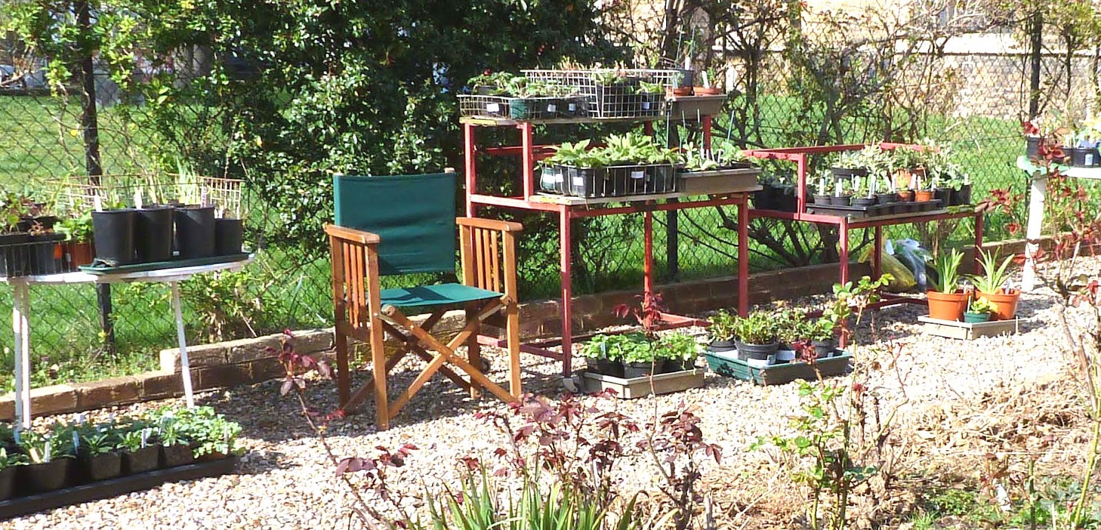 greenjottings: Front garden workshop