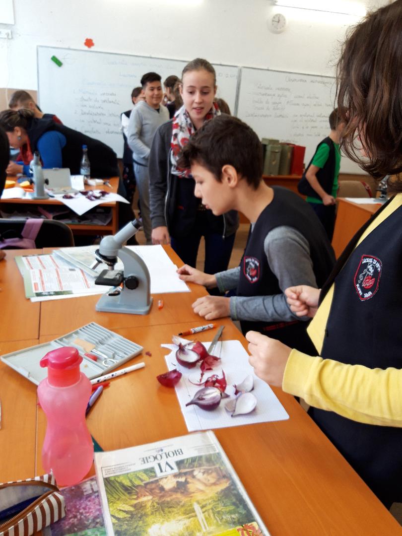 Micii cercetatori: 2019