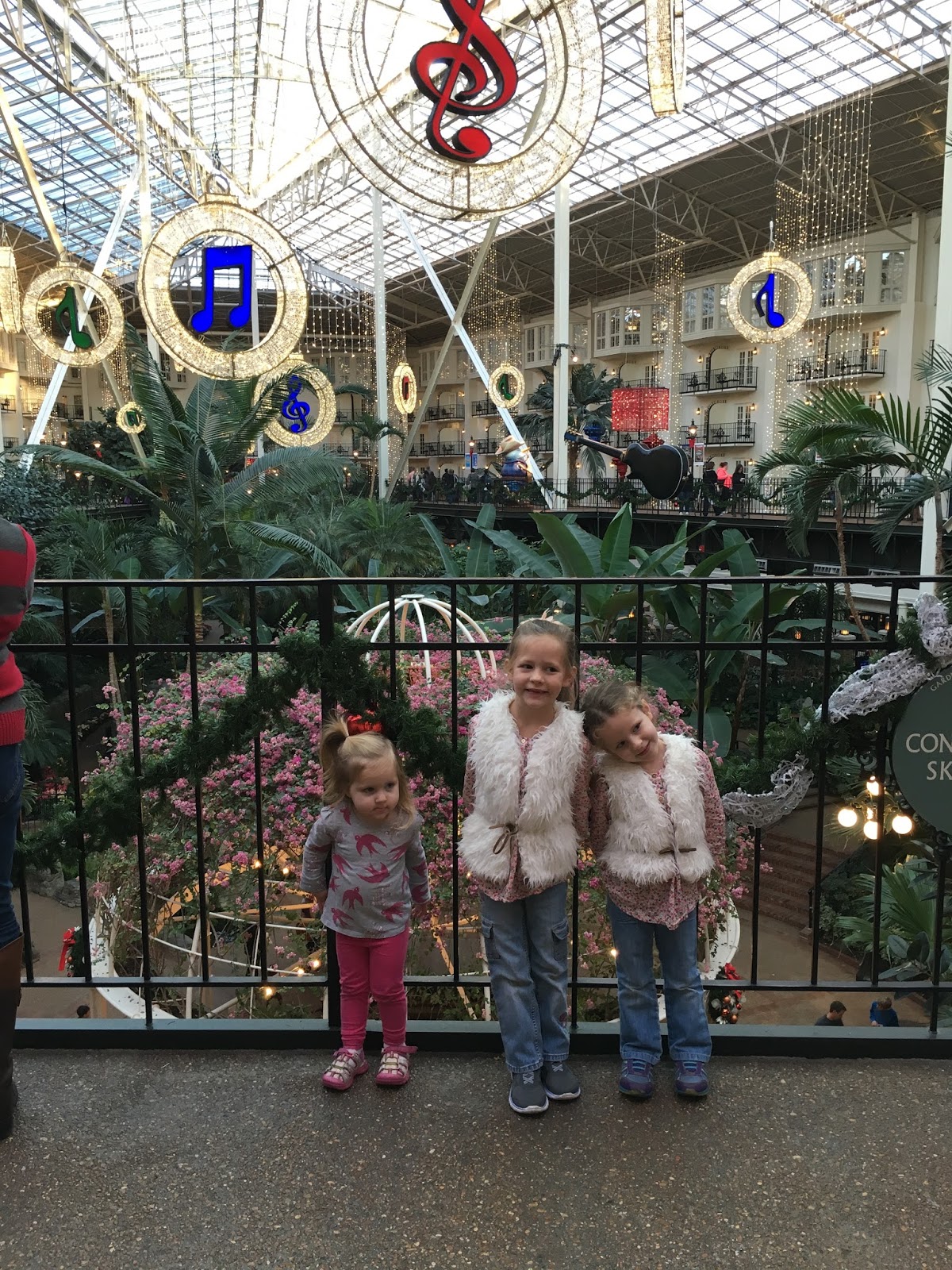 The Hunzikers Christmas Break Activities the-hunzikers-christmas-break-activities