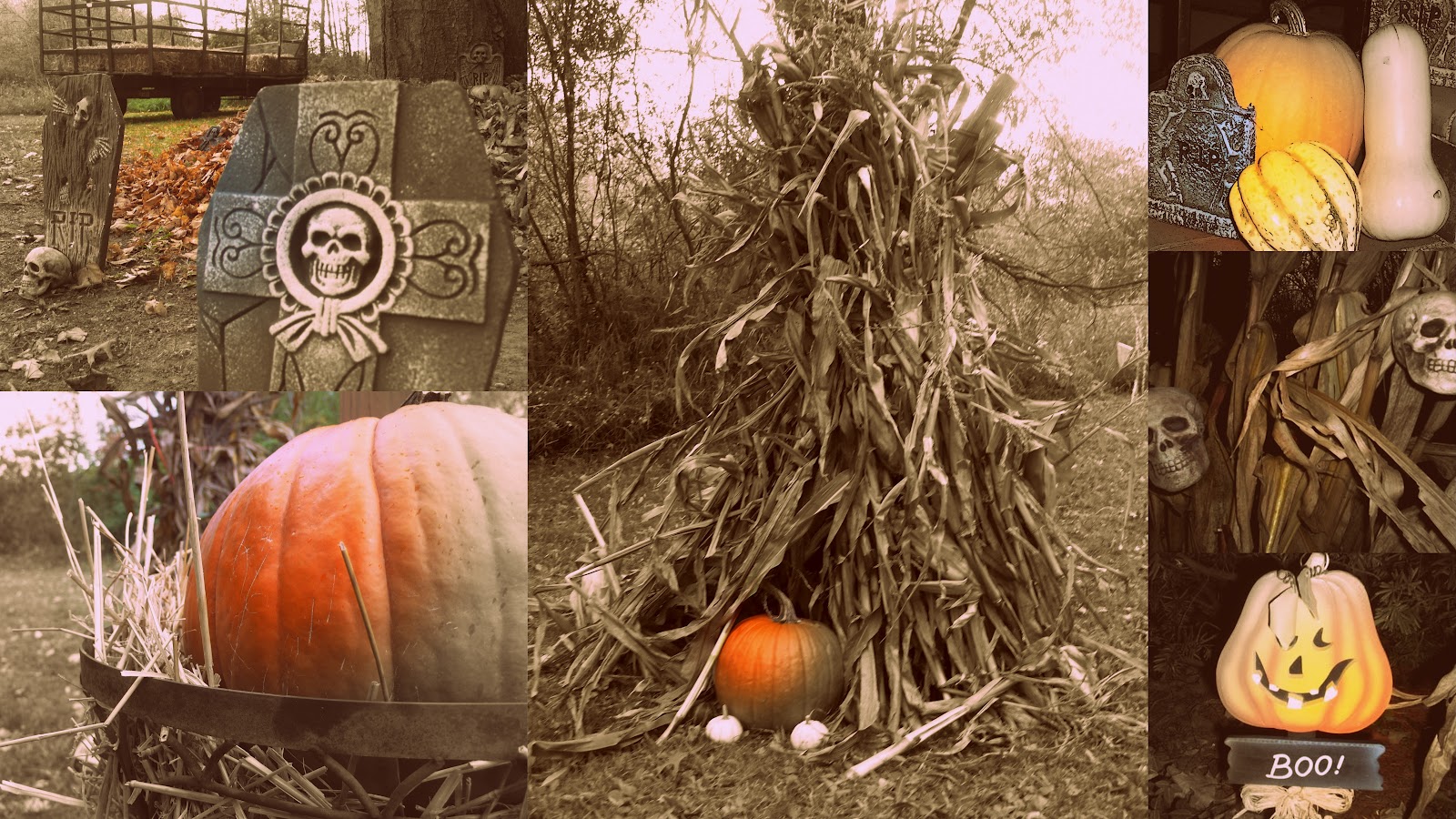 Joyously Domestic: Our Annual Fall Hayride and Bonfire Party