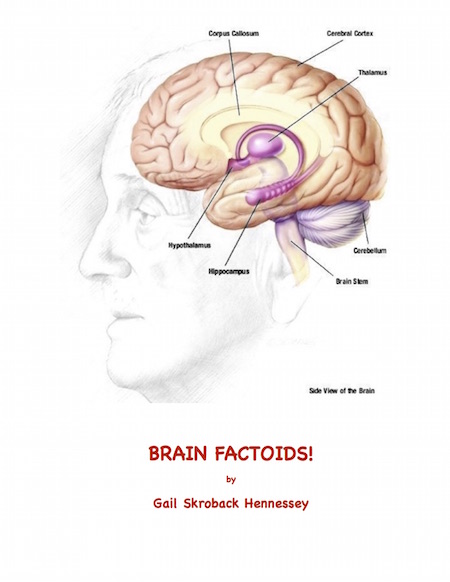 Brain Factoids for Brain Awareness Month | Education World