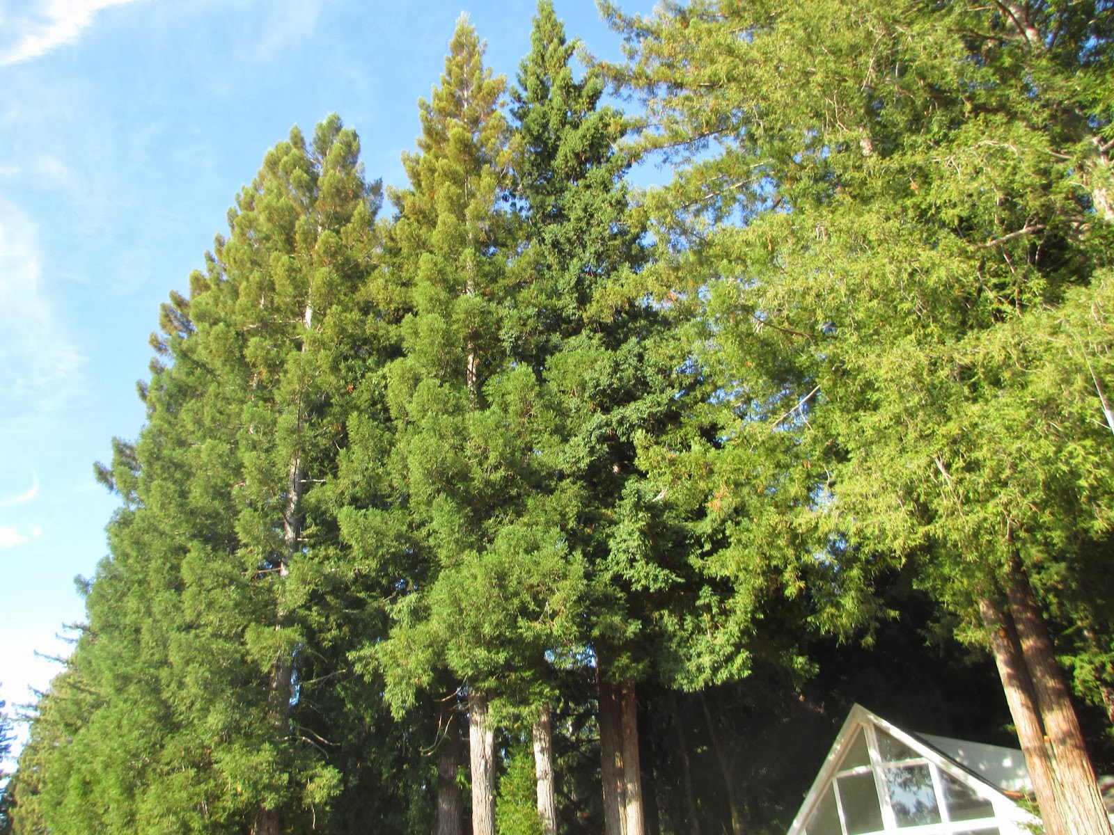 Computer museum, Hobbyist, Computers, Microcomputers, and Amateur Radio ...