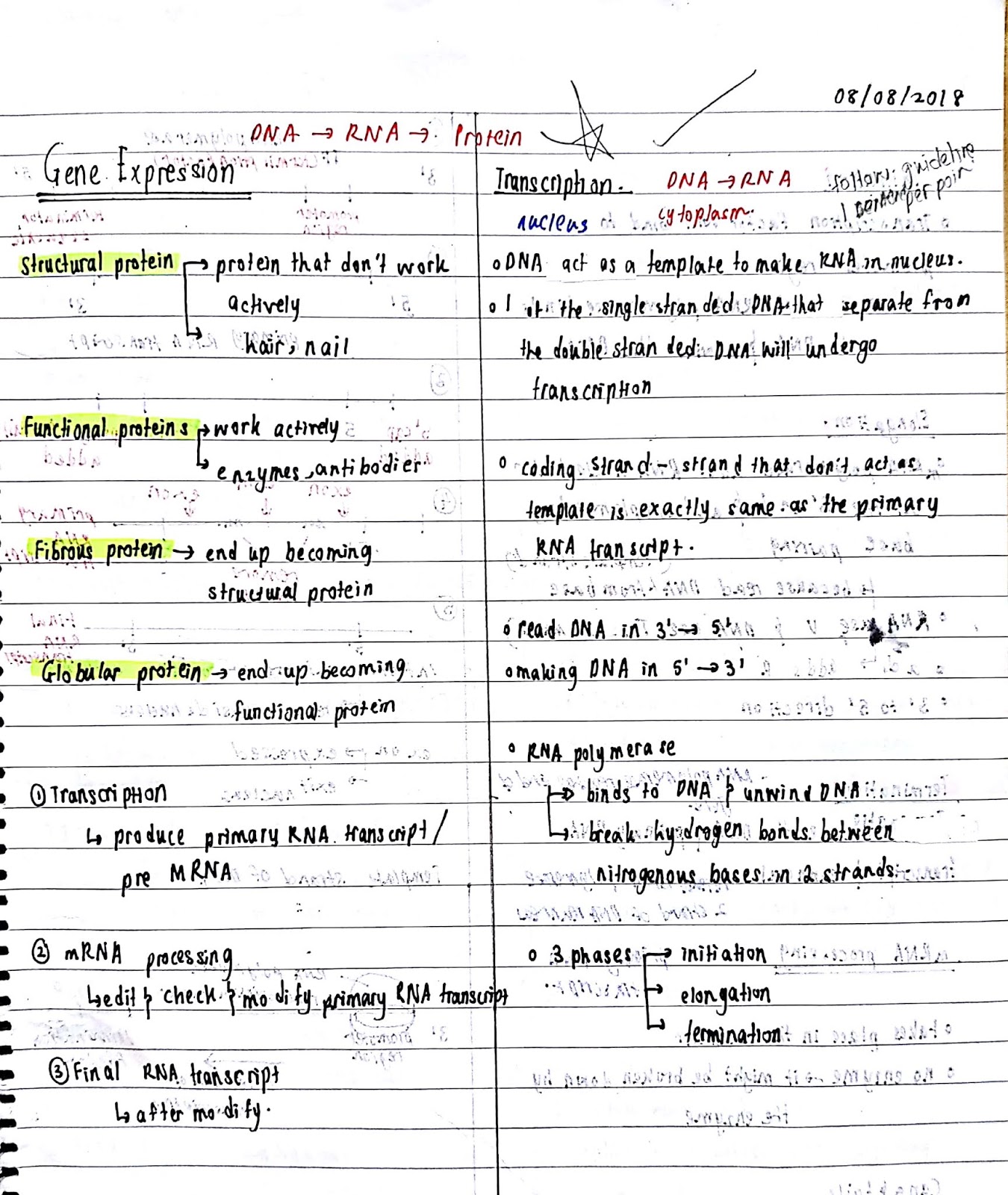 Biology Notes Semester 2 (MINE) for MUFY