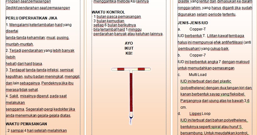LATANSA SIX: LEAFLET IUD