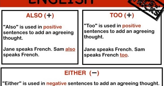 Panduan menggunakan Also, Too, Either dalam Bahasa Inggris - Kata Kata ...