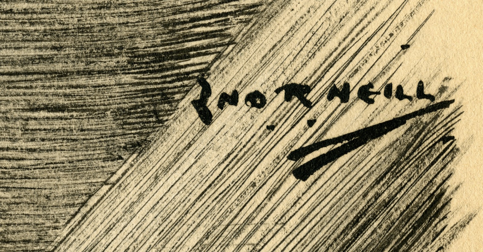 The John R. Neill Collection: 2019