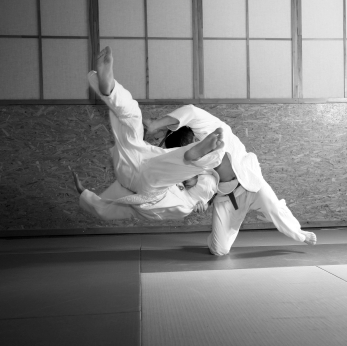 Budo For Life: What is ukemi?