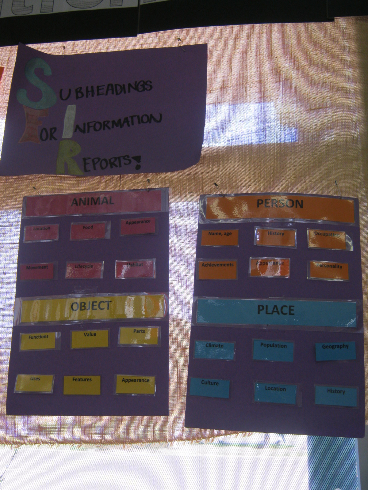 Miss A's Class Ideas: Information Report Writing Wall