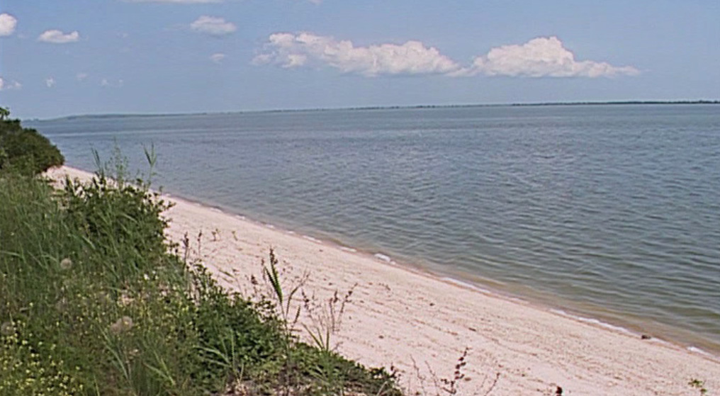 Think and Travel: Insula Popina