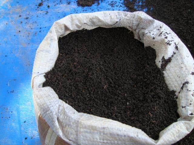 Horta Urbana: Substrato Caseiro