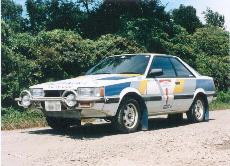 Gools Rally Team: RX Turbo Factory Cars