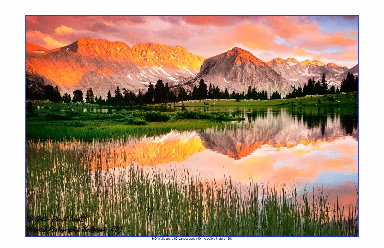 Cine e single si isi cauta iubit/iubita - Single Seeking Single ...