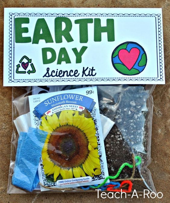 Earth Day In The Primary Classroom
