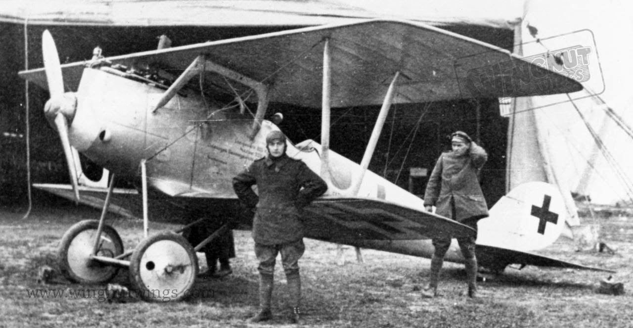 modelismo de peazo-gato: Fokker D.VII , Rudolf Stark