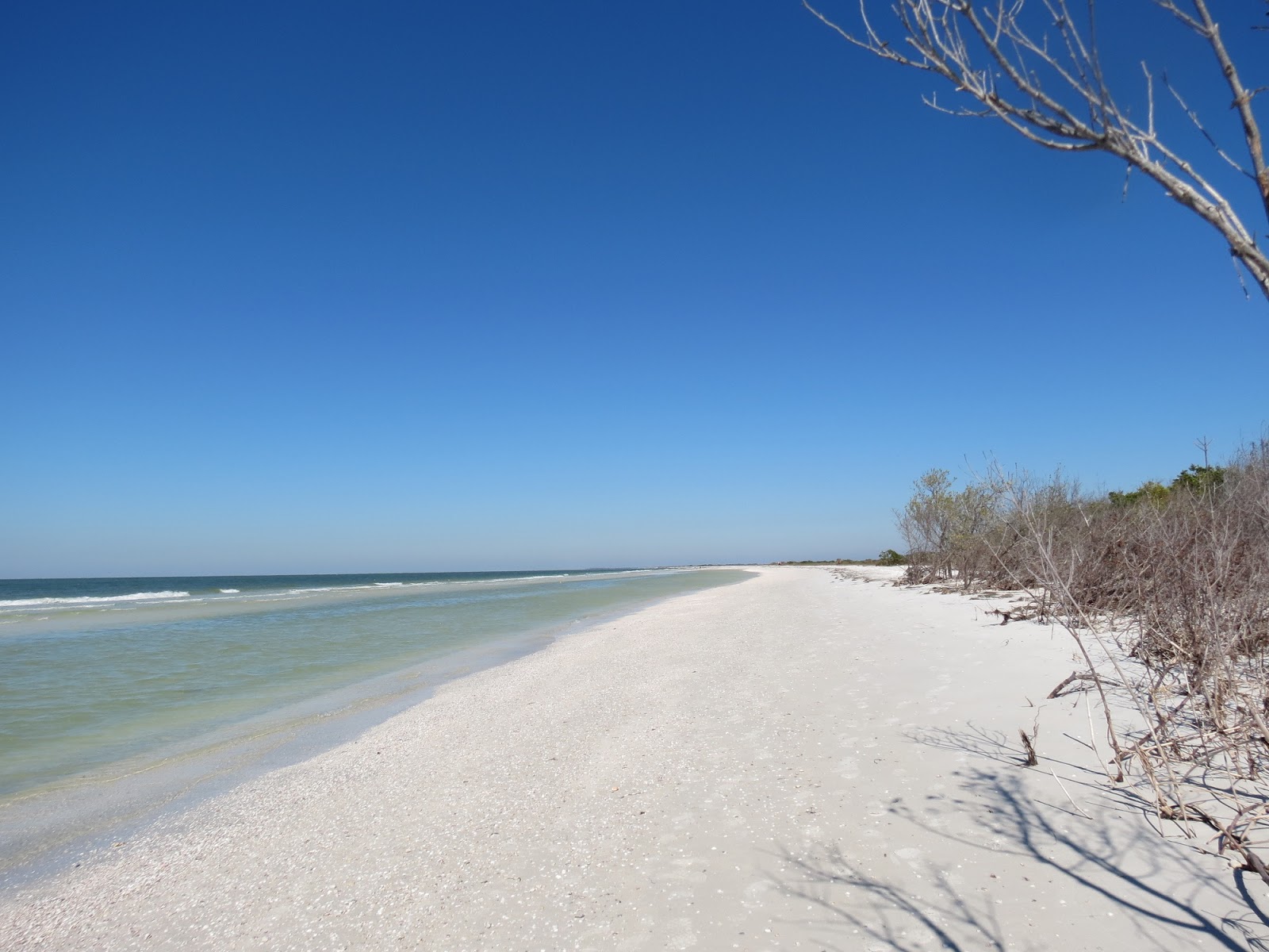 Viewing nature with Eileen: Honeymoon Island Beach State Park