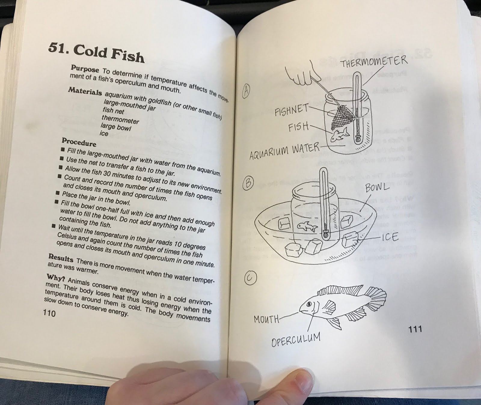 5 Minute Librarian: Weeding Challenge - Science Books