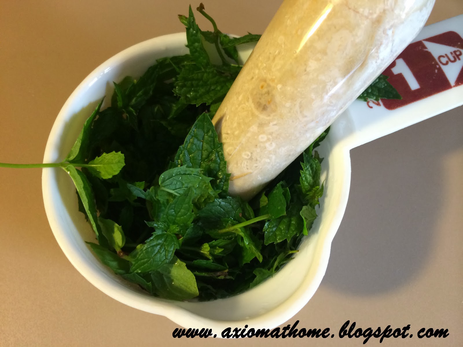 Axiom At Home: Mint Extract