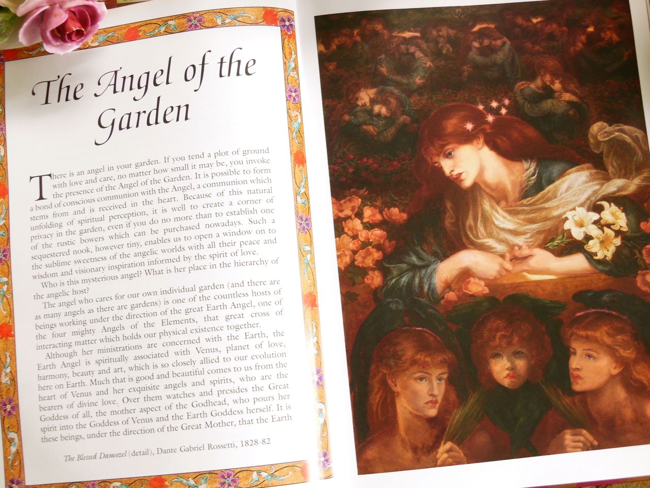 An angel in the garden: The Enchanted Garden