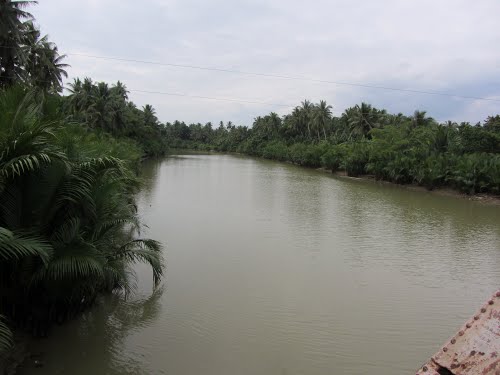 Explore the Small Town of Calauag, Quezon Province