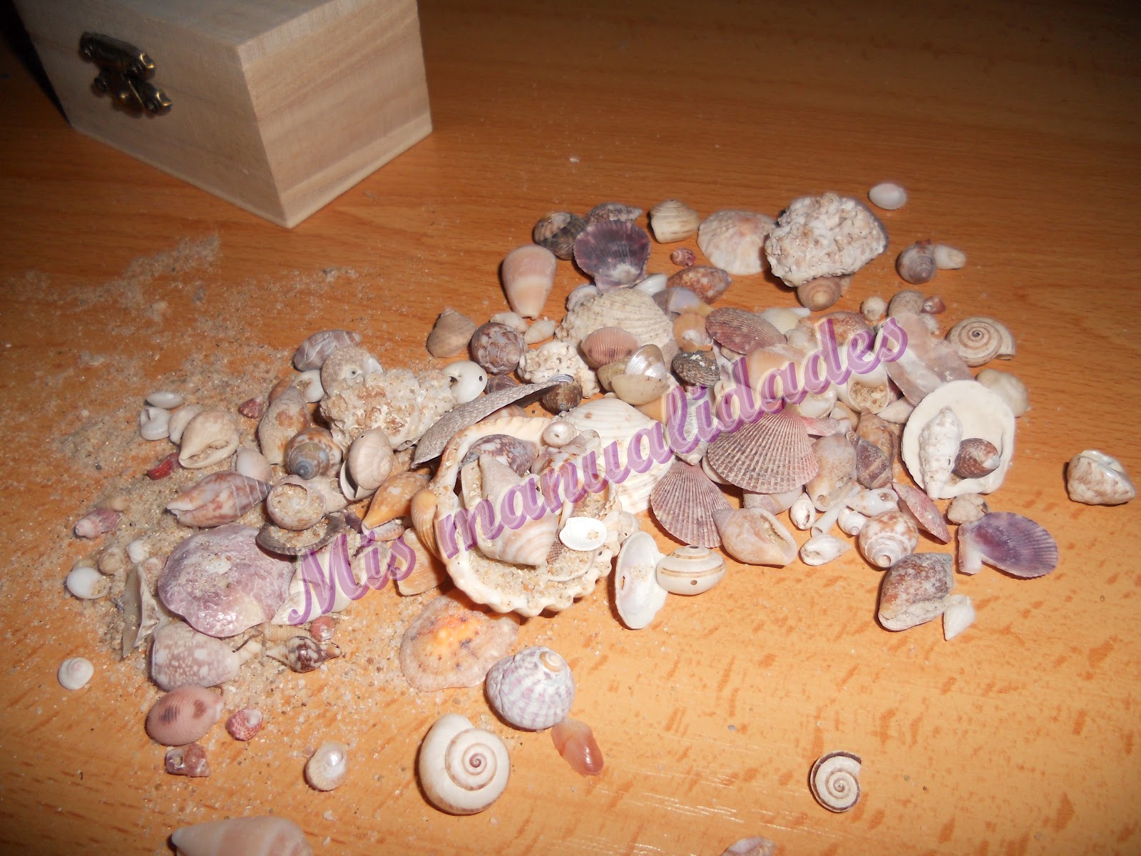 Mis Manualidades: Cajita decorada con conchas