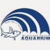 Zoo Jobs: Fish Curator