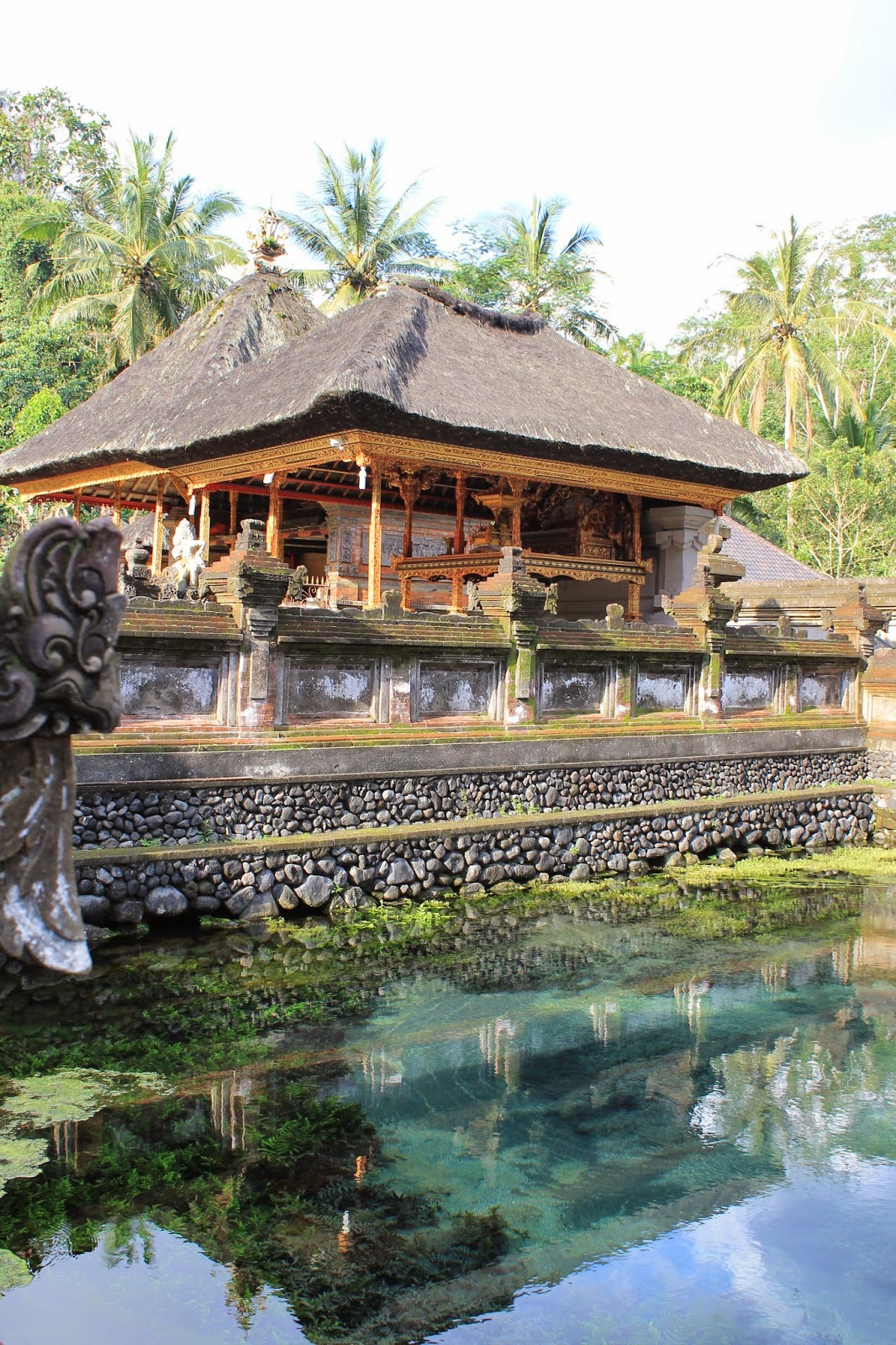 Masha is so Masha: One week in Bali