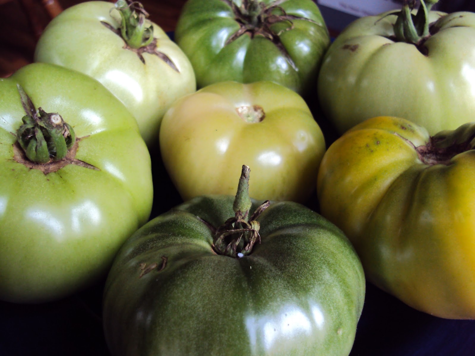 Pie for a Year: An Irrational Idea: Pie #16: Gross Pie (Green Tomato Pie)