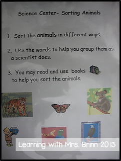 Animal Groups - Learning With Mrs. Brinn