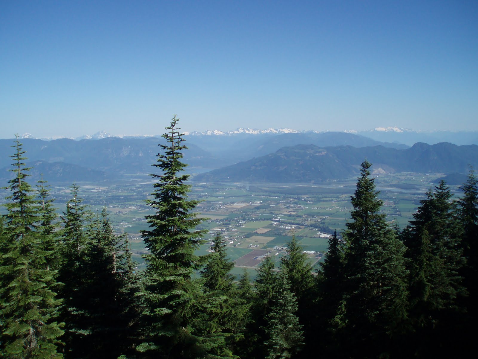 Tourism Chilliwack Blog: Hiking Elk Mountain